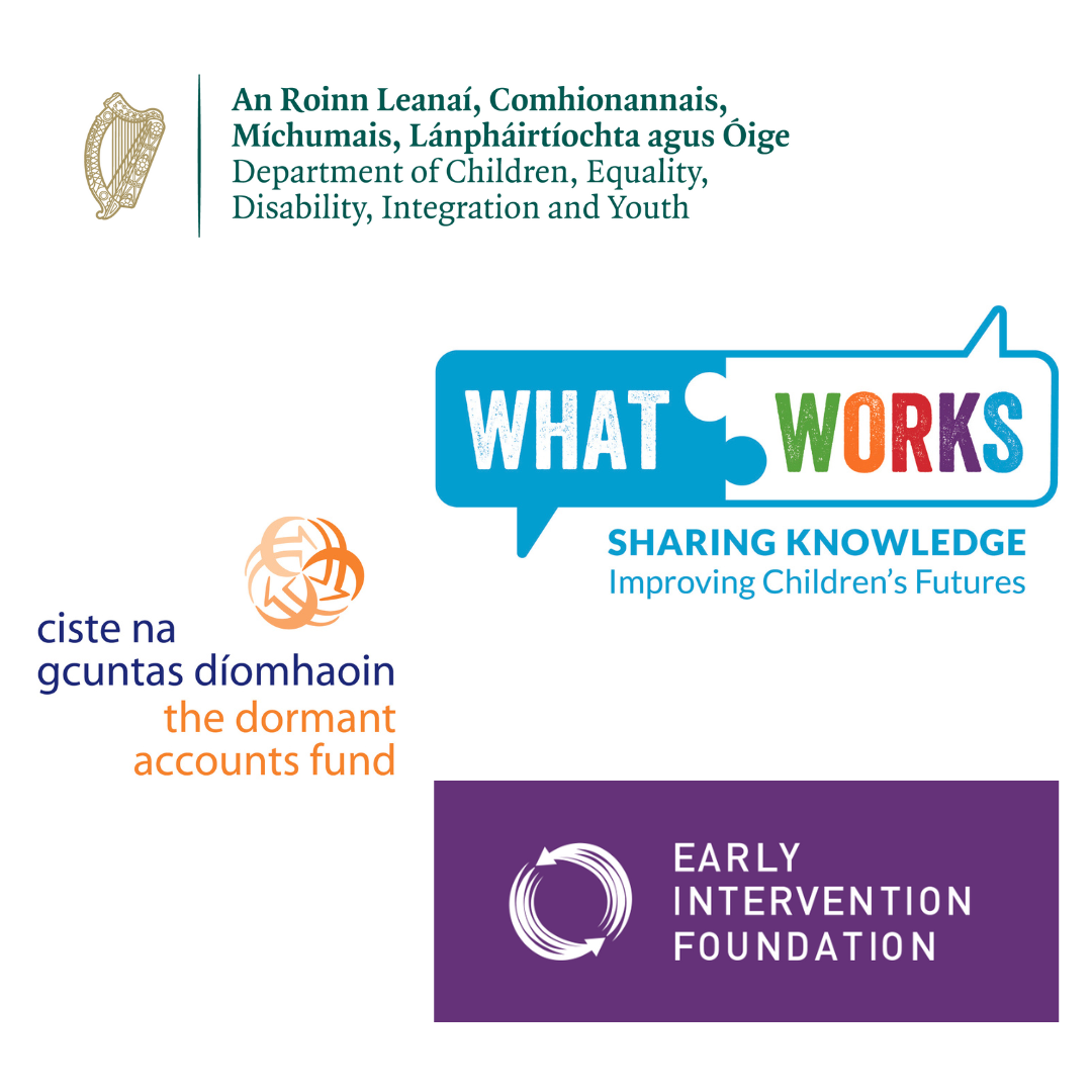 What Works Ireland Evidence Hub: Webinar
