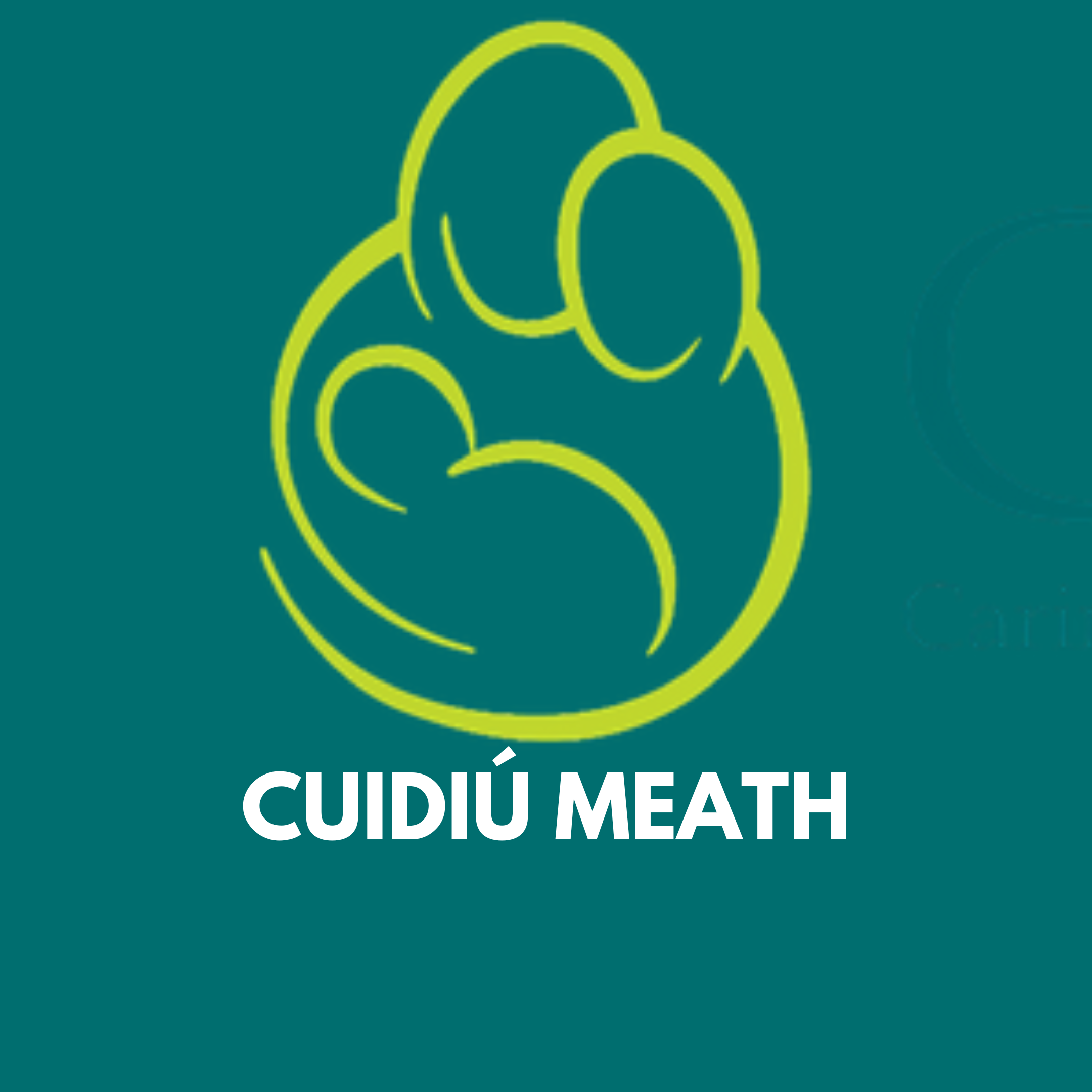 Cuidiú Meath Antenatal Workshop July 2023